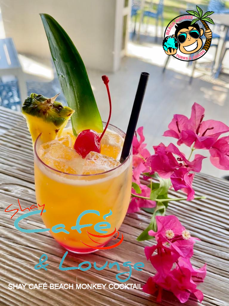 Login Beach Monkey Life